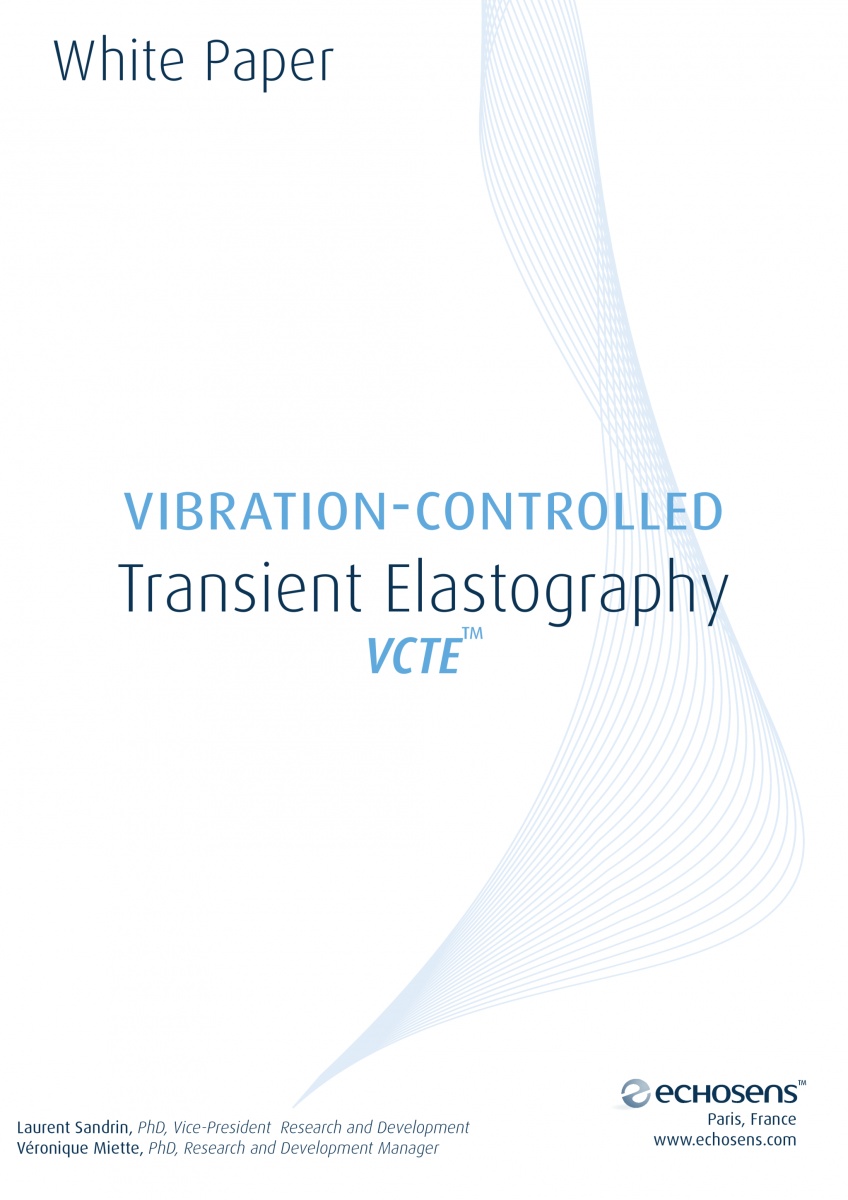 White Paper VCTE EN